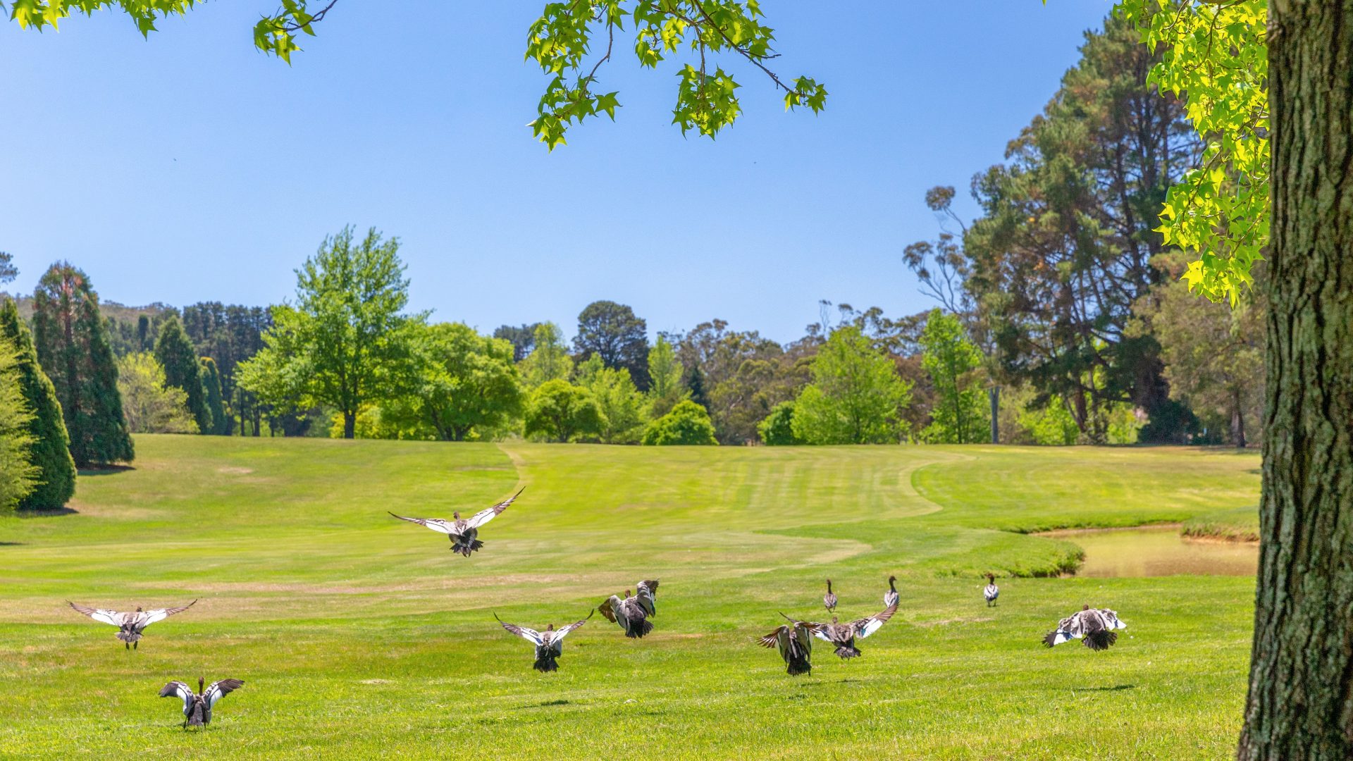 Retirement Bowral - Is it for you? - Waterbrook